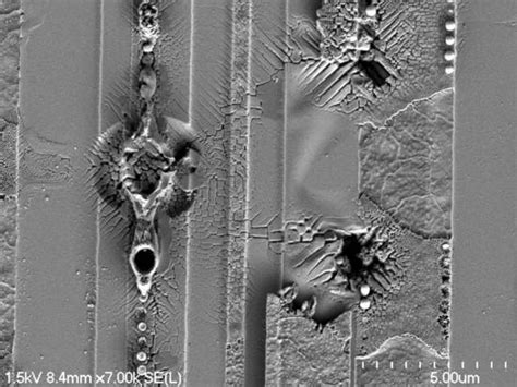 Scanning Electron Microscopy Sem Services Priority Labs Inc