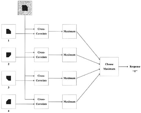 15 Noiseless Cross Correlator Model Of The Discrimination Process Download Scientific Diagram