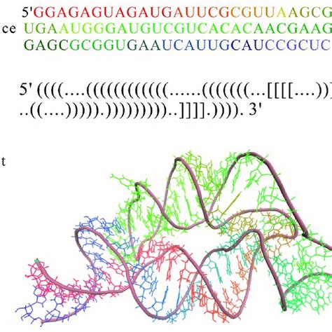 Methods Which Have Been Used For Modeling 3d Structure For Aptamers