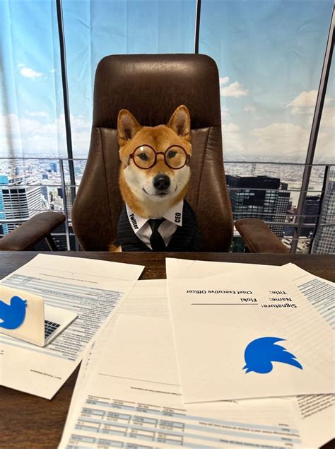sanket bansal on linkedin ceo twitter elonmusk floki