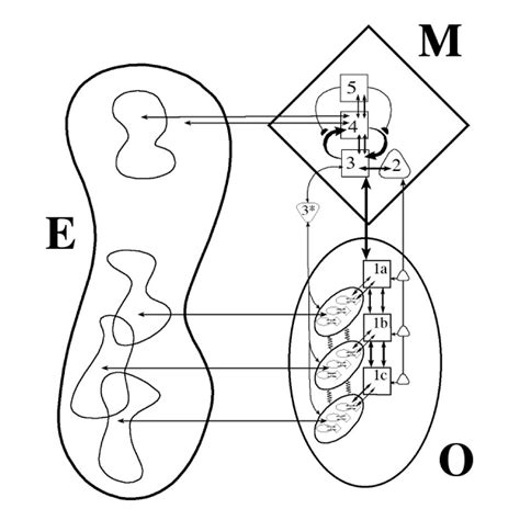 Viable System Model A Theory For Designing More Responsive