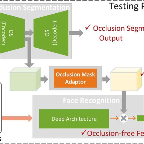 Structure Of The Proposed Simultaneous Occlusion‐invariant Deep Network Download Scientific