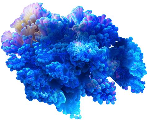 Is Semantic Chunking Worth The Computational Cost