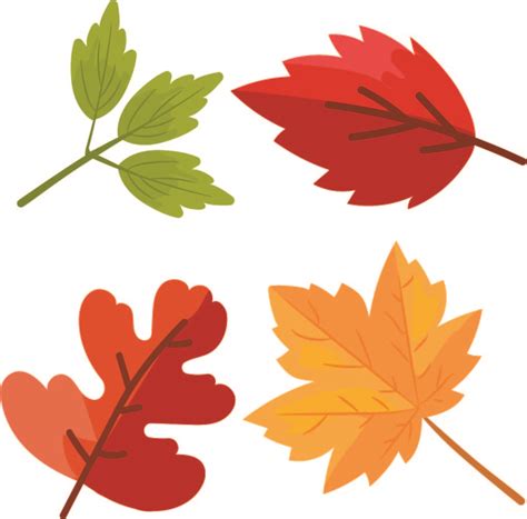 Fall Leaf Template
