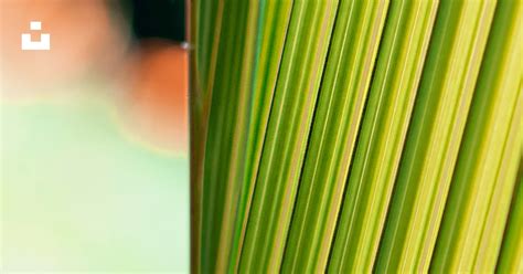 녹색과 흰색 줄무늬 섬유 사진 Unsplash의 무료 모 이미지