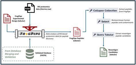 Hands On Neoantigen 2 Database Merge And Fragpipe Discovery