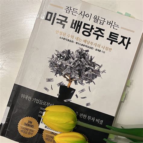 잠든 사이 월급 버는 미국 배당주 투자