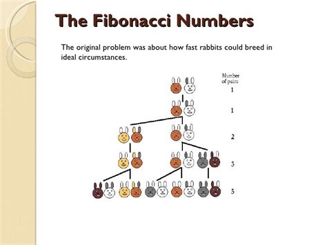 Explain The Fibonacci Sequence