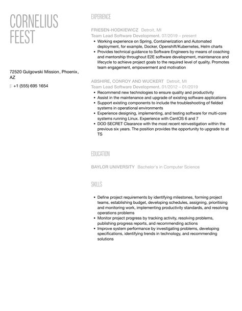 team lead software development resume samples velvet jobs