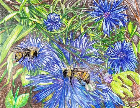 Buzzzing Bachelor Buttons Mixed Media By Laurel Adams Fine Art America