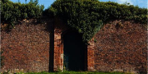 Cisco Captive Portal Software Transforming Business Networks