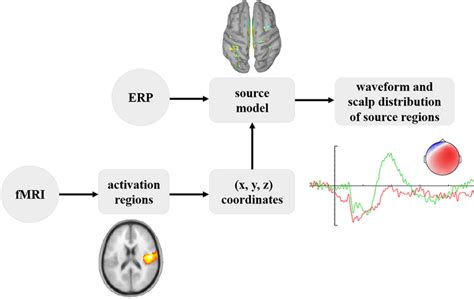 Erp And Fmri Integration Analysis First We Constructed Source Model
