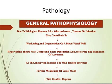 Aneurysm Pathology Pptx From Robbins Sss Ppt