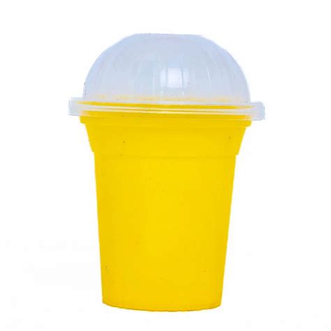 Plastic Houseflies Heavy Fruit Fly Glass Trap For Agriculture
