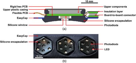 Encapsulation Of The Individual Dual Hexagon And Triple Hexagon Download Scientific Diagram