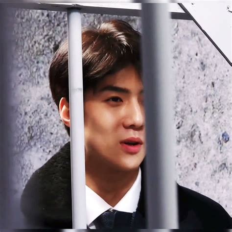 Exo 단호한 오세훈 Youtube