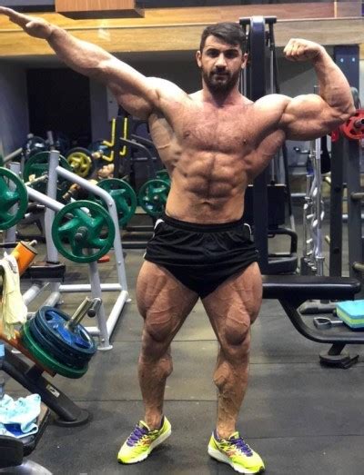 Mohammad Zolfaghari Tumbex