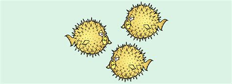 What Every It Person Needs To Know About Openbsd Part 3 That Packet
