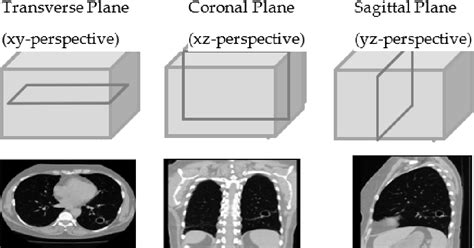 Figure 1 From Multi Perspective Hierarchical Deep Fusion Learning