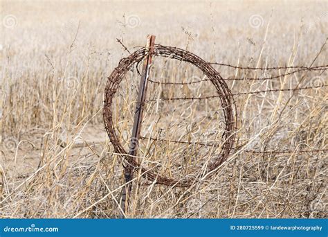 Coil Of Rusted Barbed Wire On Rust Covered Fence Post Against Yellow