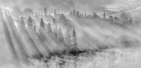 Gilles Bisson Bandw Slideshows Brighton Photo Group