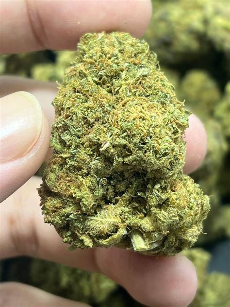 Fresh Batch Message With Any Questions Rstoner