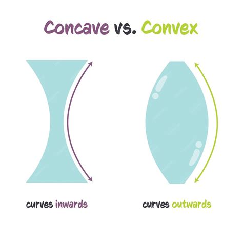 Infografía De Ilustración Vectorial Cóncava Versus Convexa Vector Premium