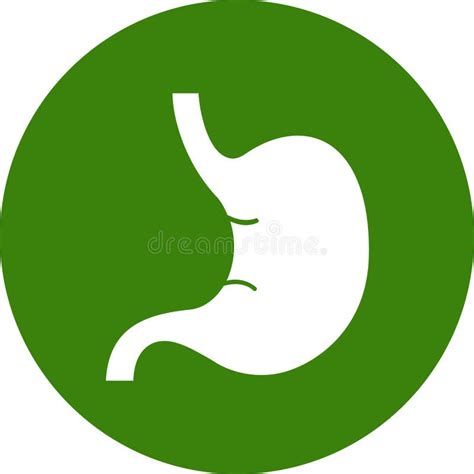 Stomach Vector Icon With Trendy Background Colors That Can Easily Edit
