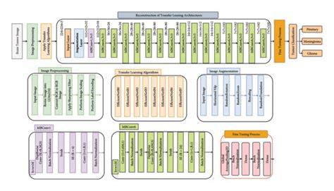 The Proposed Reconfigured And Fine Tuned Tl Architecture For Brain Download Scientific Diagram