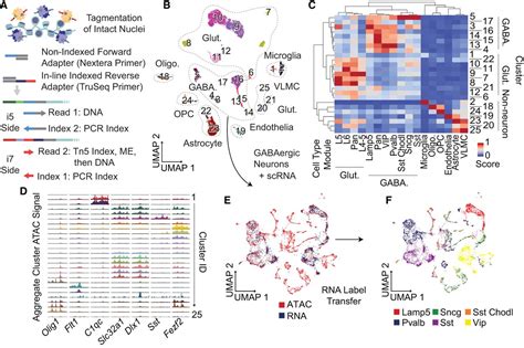 Atlas Scale Single Cell Chromatin Accessibility Using Nanowell Based