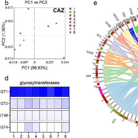 Functional Distribution And Diversity Of Microbial Communities Between