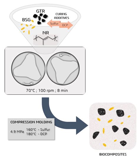 Polymers Free Full Text Investigating The Impact Of Curing System