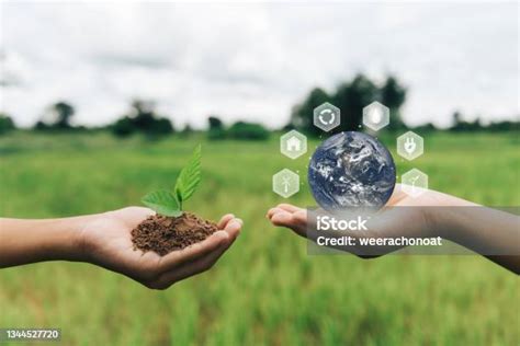 세계 환경의 날 그리고 녹색 배경 손 손에 나무 지구 지구를 들고 Nasa가 제공하는 이 이미지의 요소 아이에 대한 스톡 사진 및 기타 이미지 Istock