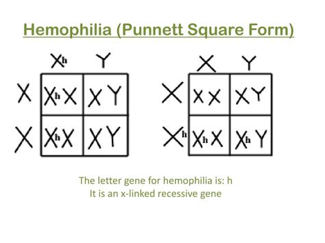 Ppt Hemophilia Powerpoint Presentation Free Download Id 2136951