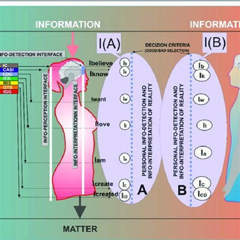 Schematic Representation Of The Informational System Of The Human Body Download Scientific