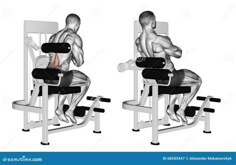 Exercising Back Extension Machine Stock Illustration Illustration Of