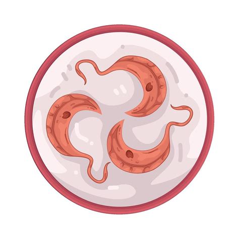 Illustration Of Pathogen 62482438 Vector Art At Vecteezy