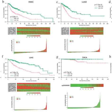 Construction Of The Probe Based Prognostic Classifier A Flowchart Of Download Scientific
