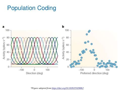 Introduction To Spiking Neural Networks From A Computational Neurosc