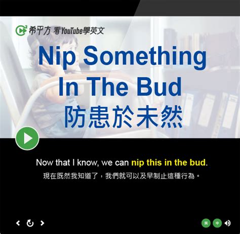 Nip Something In The Bud的意思