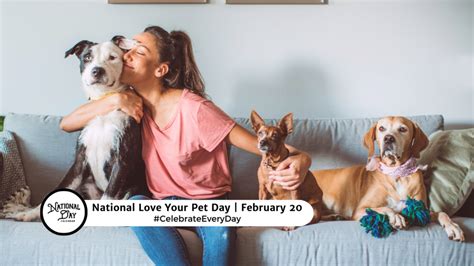 February National Love Your Pet Day National Comfy Day