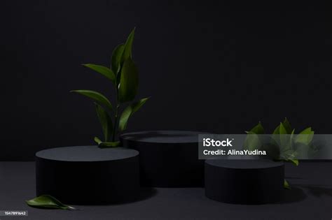 3개의 원형 연단 모형 신선한 열대 녹색 잎 프레젠테이션 화장품 상품 디자인 광고 판매 우아한 여름 풍부한 현대적인 스타일이 있는 검은색 추상 무대 3가지 개체에 대한 스톡