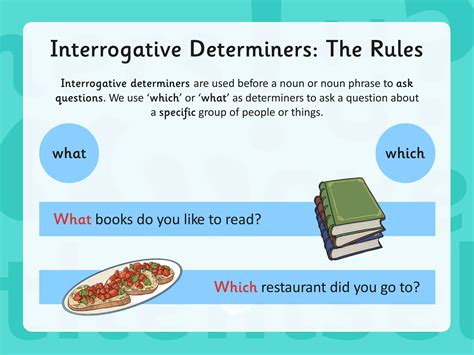 Grammar Determiners Pdf Science