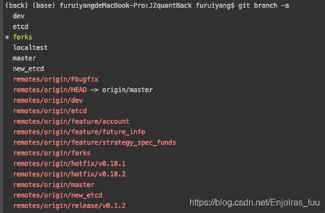 Git删除远程分支报错remote Ref Does Not Exist Csdn博客
