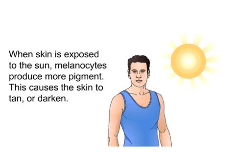 Moles