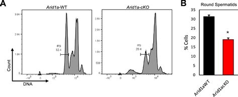 Figures And Data In Arid1a Governs The Silencing Of Sex Linked
