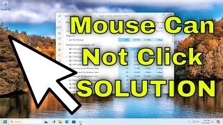 Windows Can T Click How To Fix Mouse Can Not Click Problem In Windows How To Fix Your