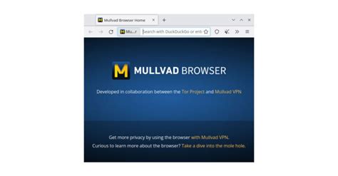 Mullvad Browser : un navigateur web respectueux de la vie privée