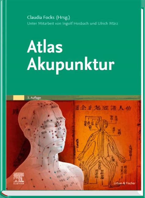 Atlas Akupunktur Akupunkturpunkte Meridiane Von Claudia Focks