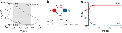Simulated Weight Depending Stdp Behavior Of The Proposed Synaptic